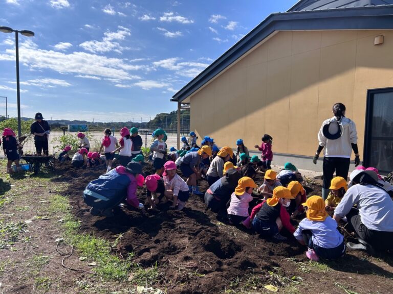 今年は豊作♪子ども園でさつまいもを収穫しました！ | 南房総市移住・定住情報サイト｜七色の自然に暮らす